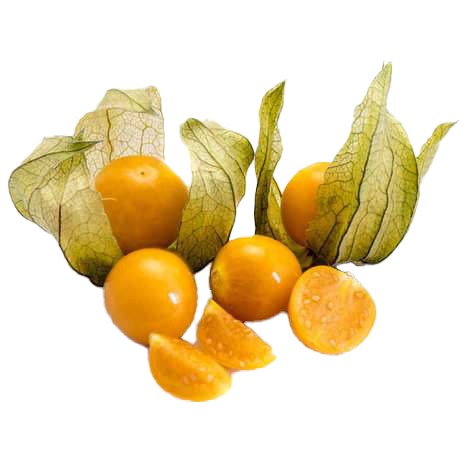 Physalis (Punnet) – All Greens Wholesale Ltd