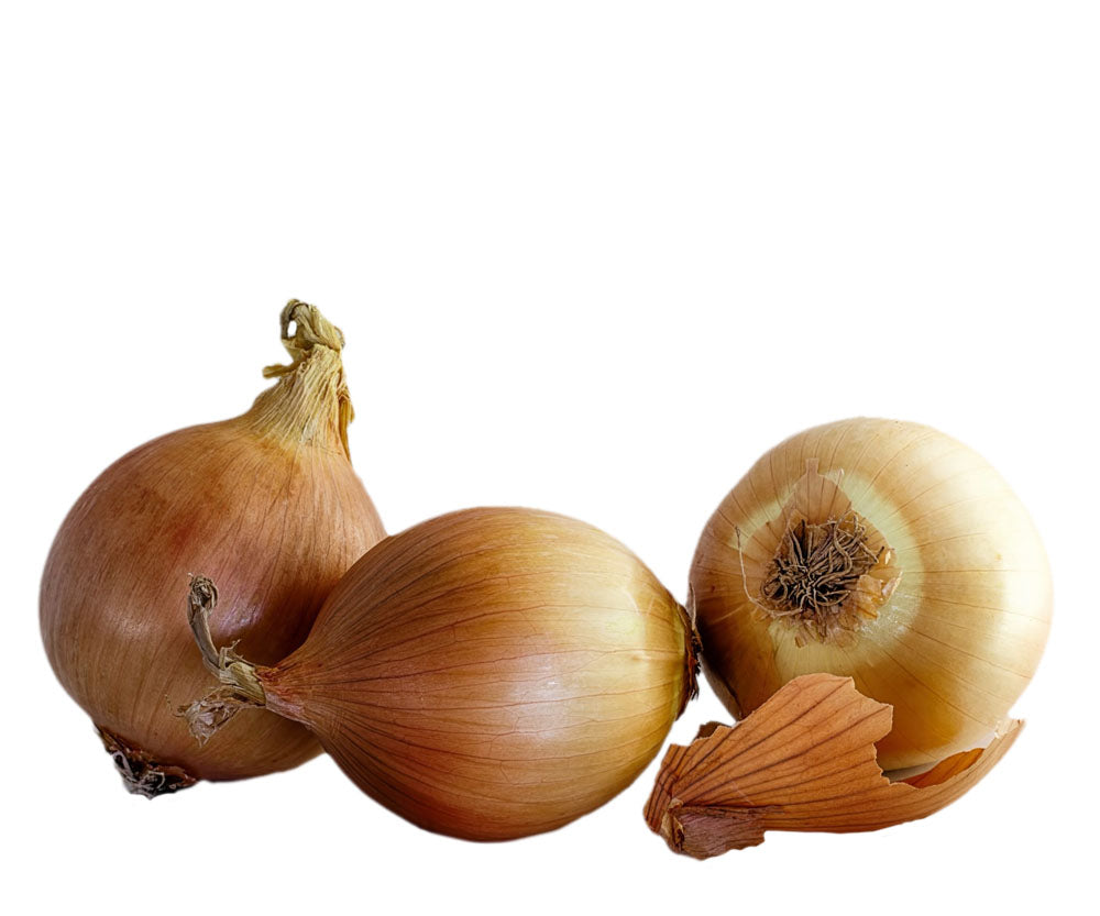 Brown Onions (x3) – All Greens Wholesale Ltd