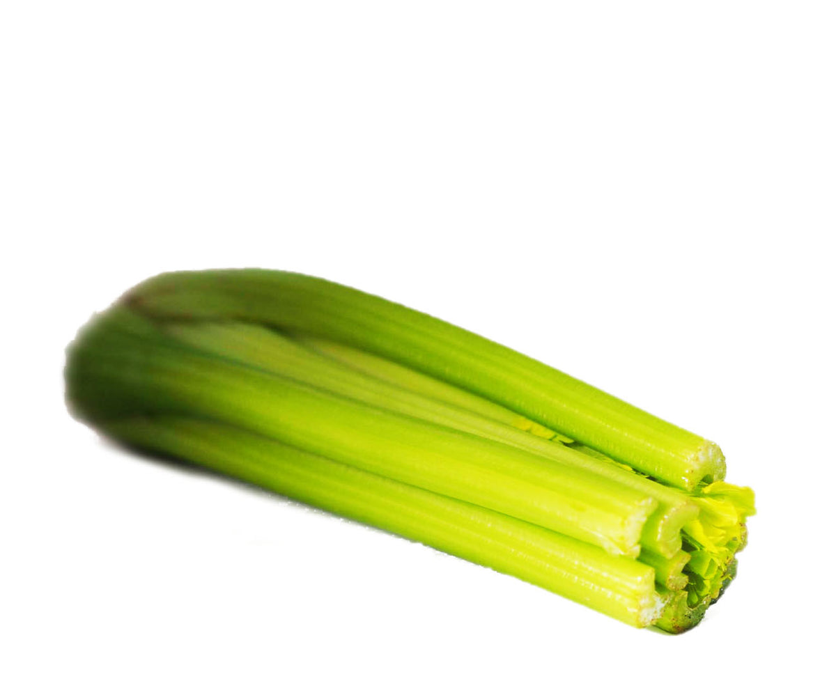 Short Celery – All Greens Wholesale Ltd
