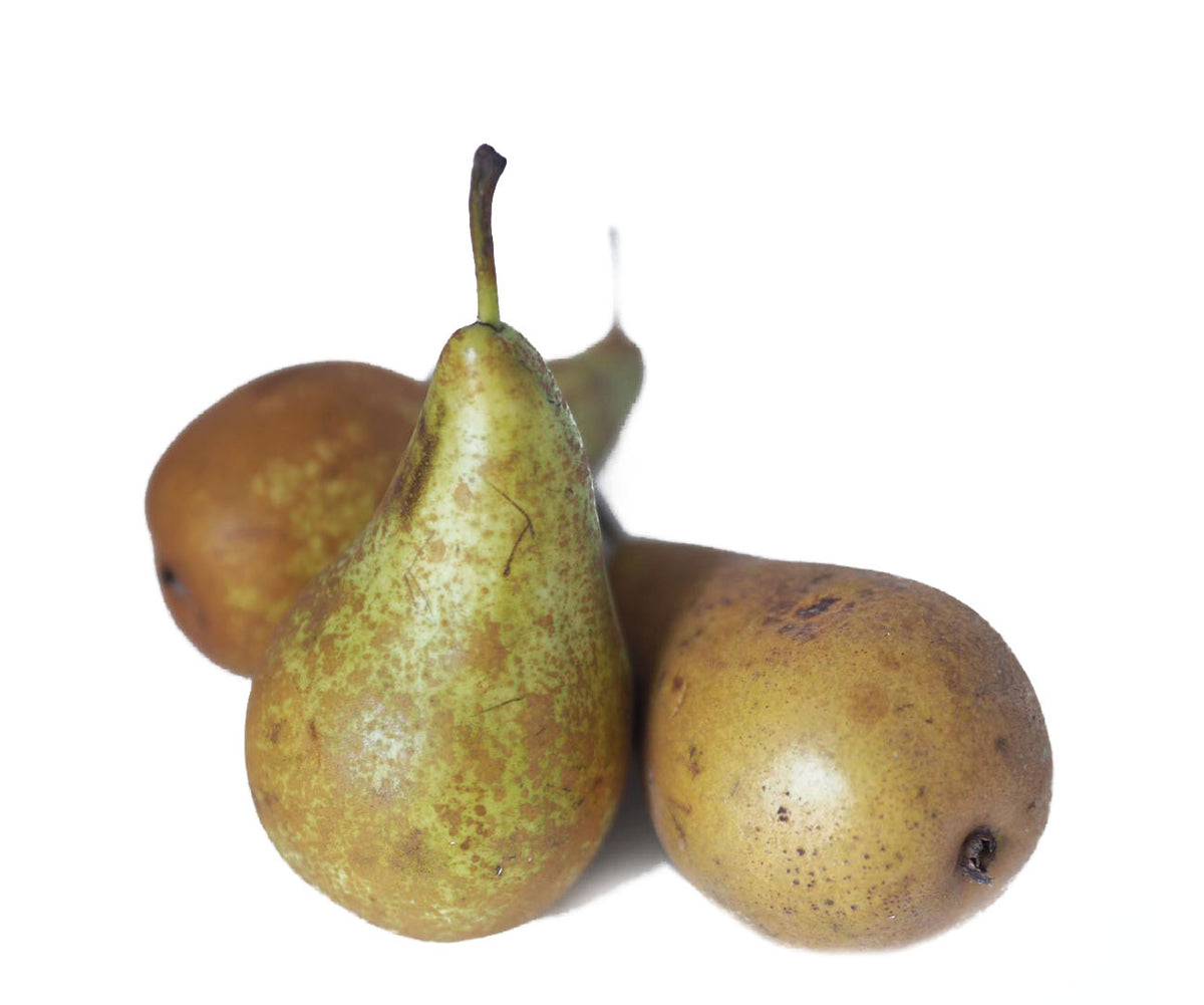 Conference Pears (x3) – All Greens Wholesale Ltd