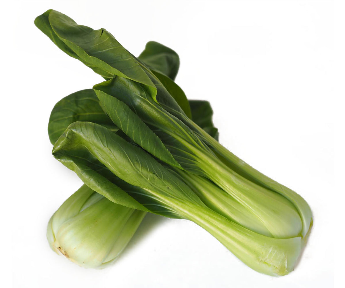 Pak Choi (150g) – All Greens Wholesale Ltd