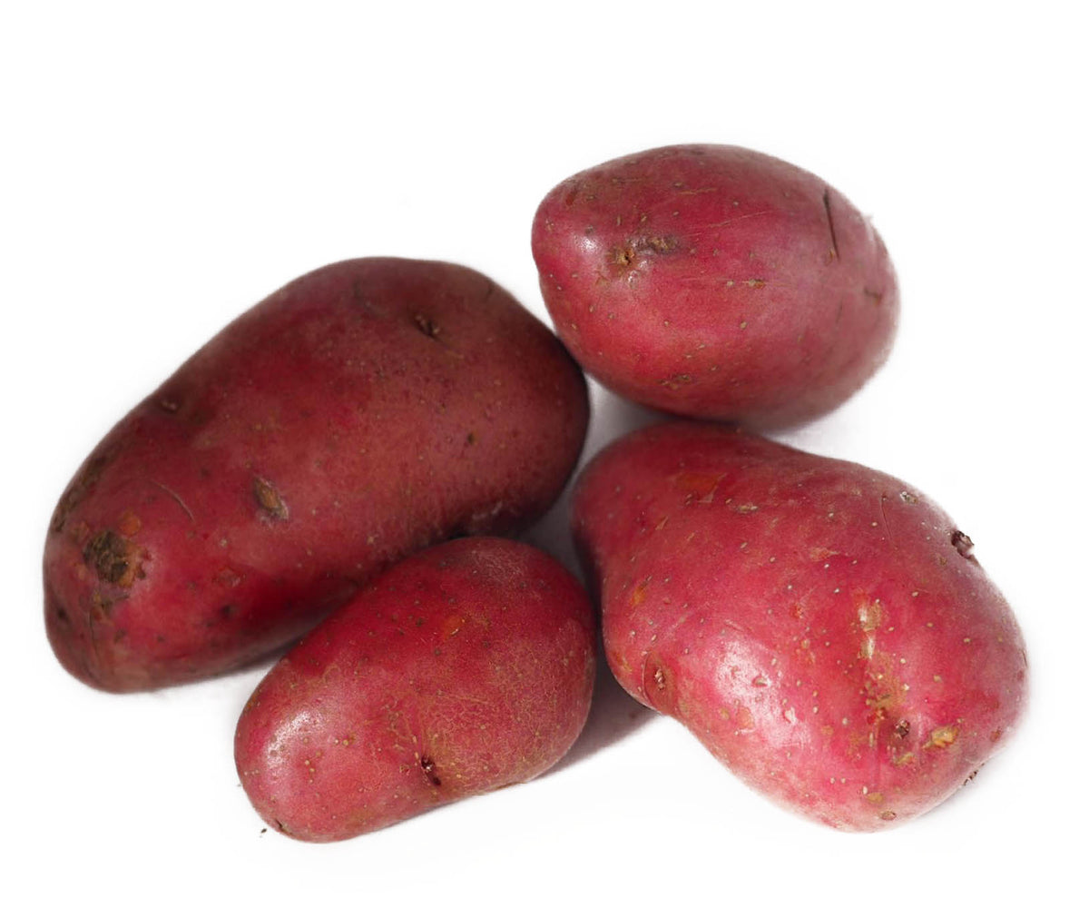 Red Potatoes (1kg) – All Greens Wholesale Ltd
