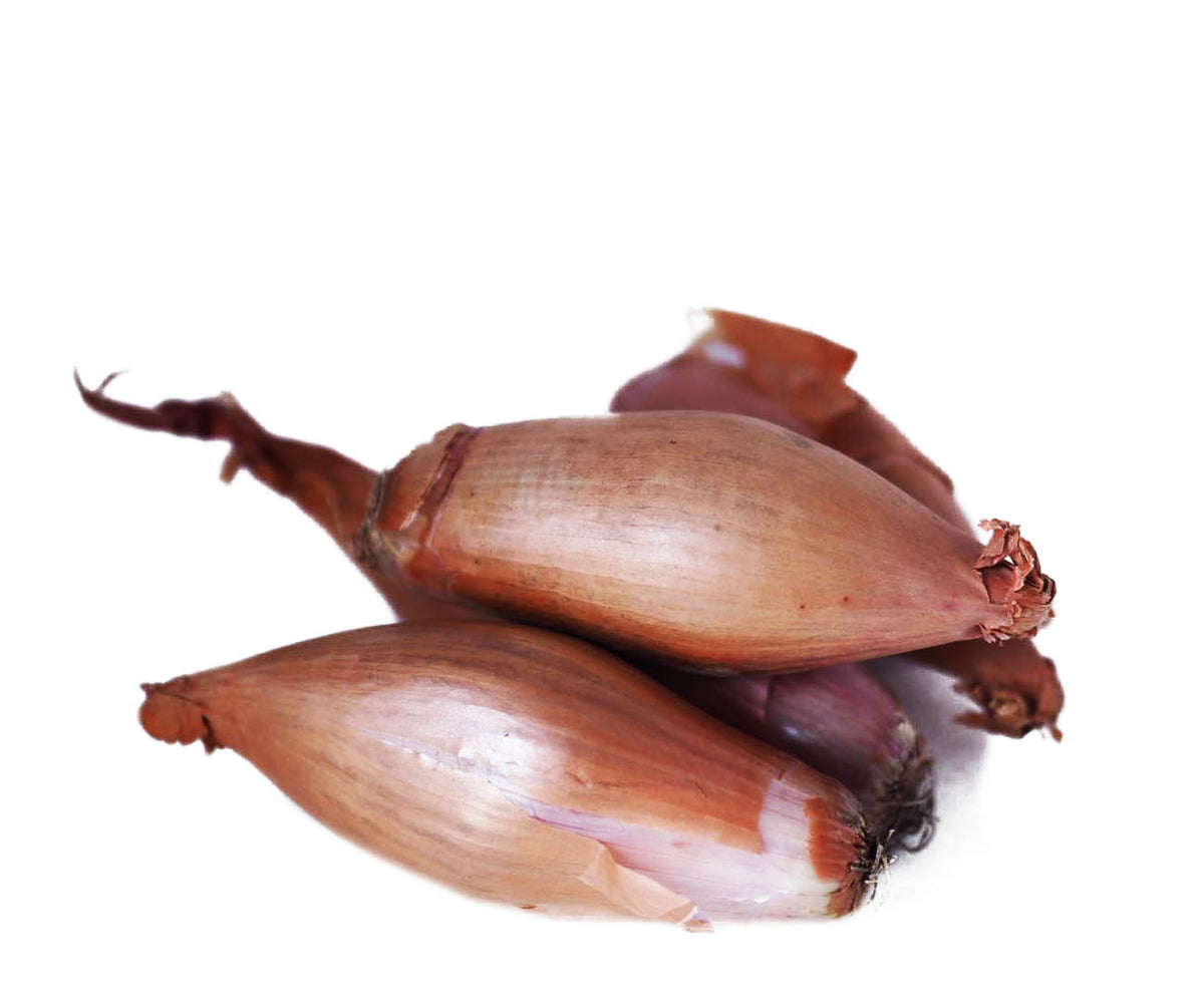 Shallots (x4) – All Greens Wholesale Ltd