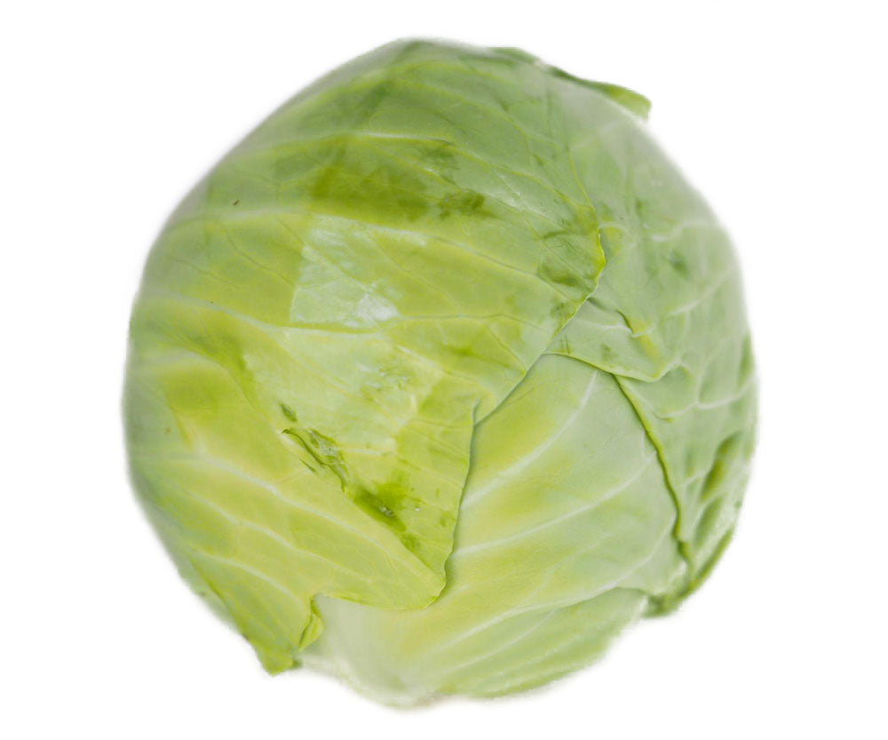 White Cabbage – All Greens Wholesale Ltd
