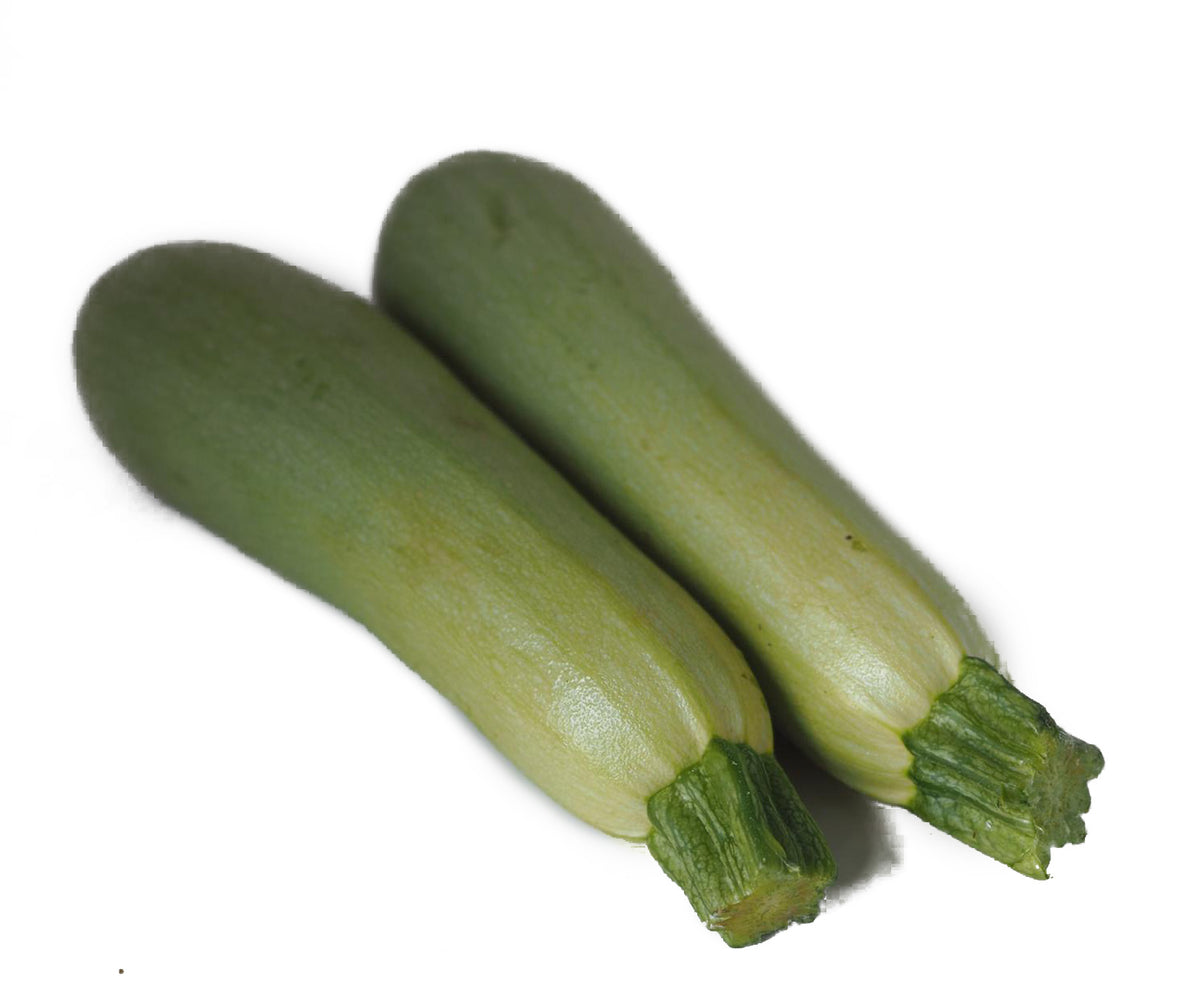 White Courgettes (x2) – All Greens Wholesale Ltd